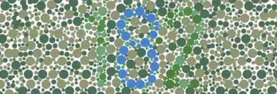 Online Farbsehtest – schnell Farben richtig erkennen